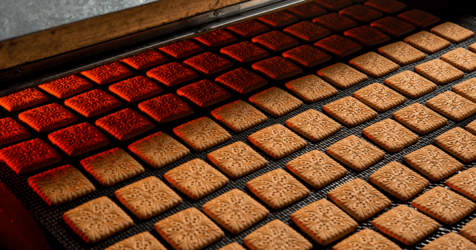 Behind the Scenes: Unraveling the Structure and Components of ...