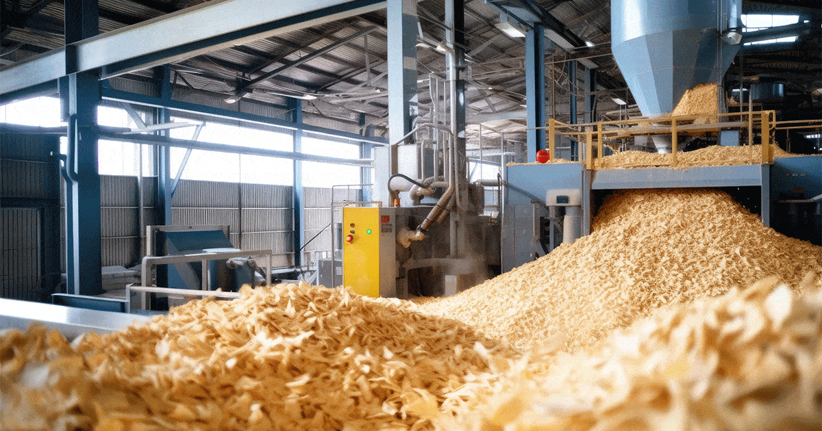 Unraveling the Enigma of Manufacturing Waste: Causes, Consequences, and ...